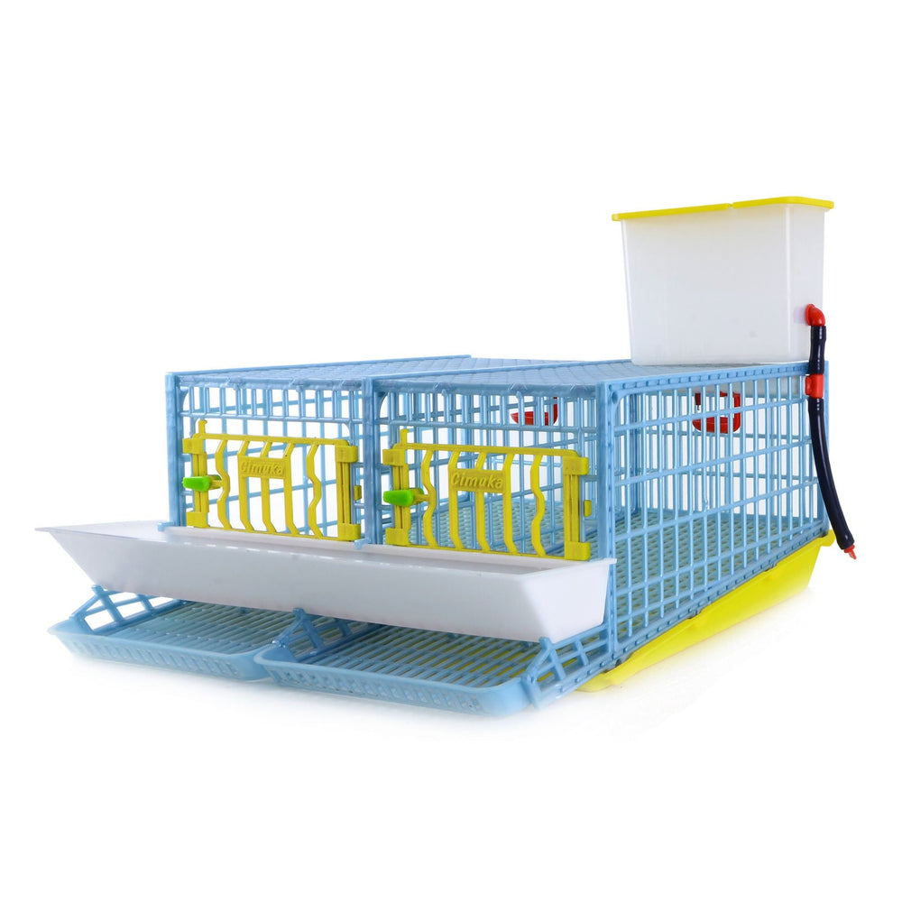 Best Quail Cages: Coturnix Quail Cage Guide for Productive Birds ...