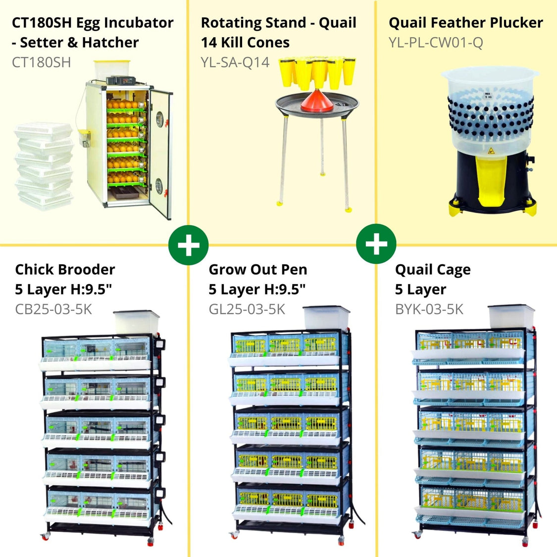 Quail Raising Kit – Quail Pro Plus End-to-End System | Hatching Time