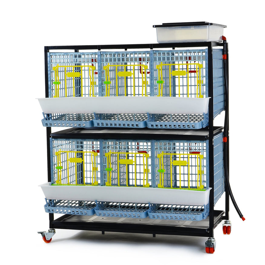 Chicken Cages (For Breeding, Genetics, Sick Birds) | Hatching Time